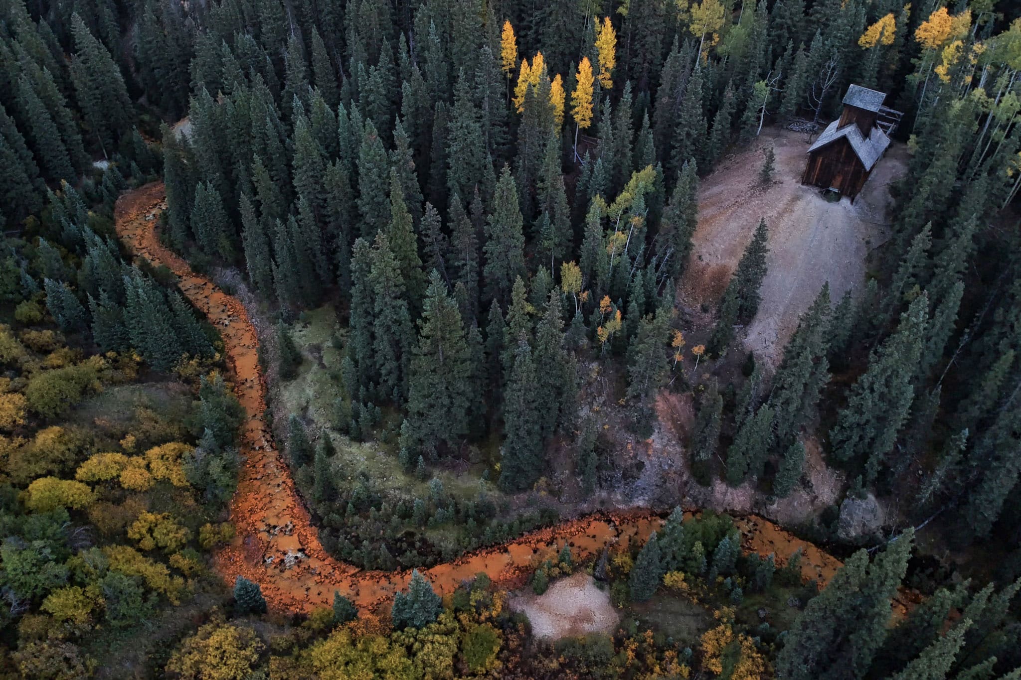 Council Member Spotlights: Mary Jo Coulehan, Don Coram, and Millie ...